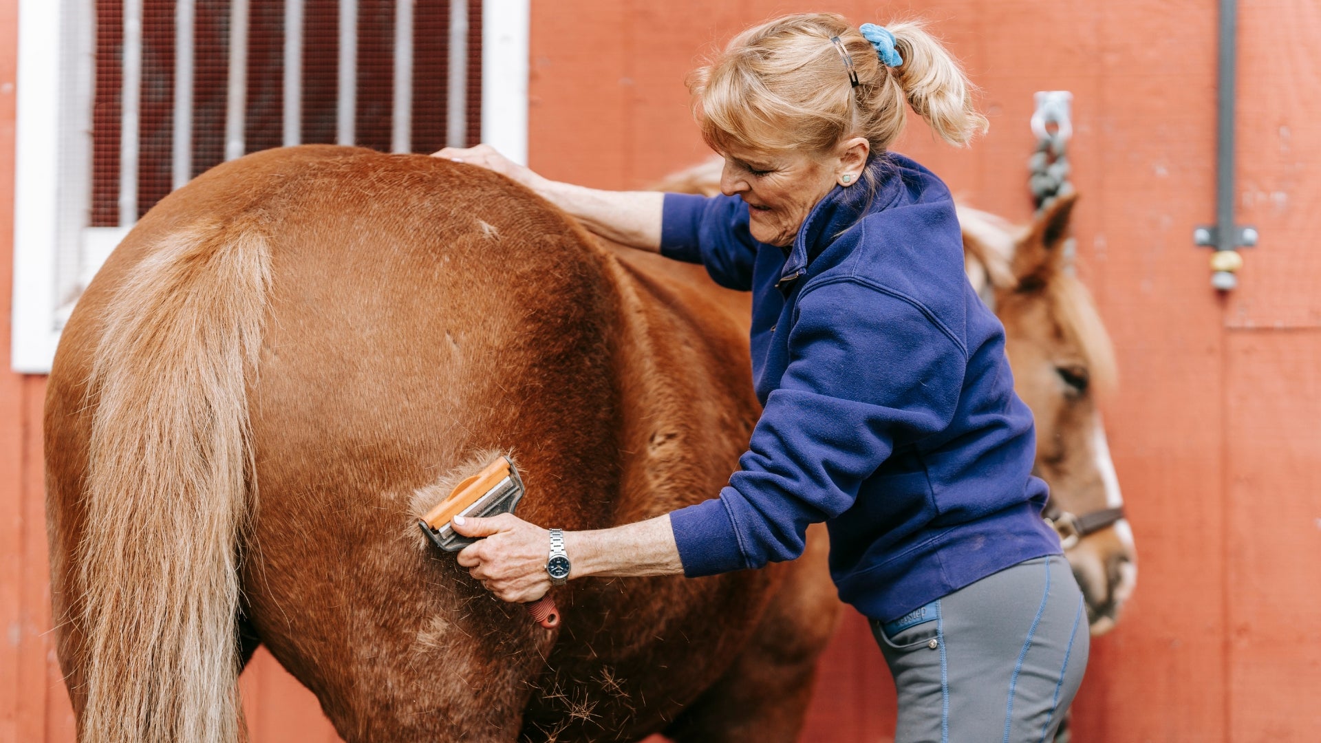 Portable Shower for Horse & Pony Owners | Beach Soul®